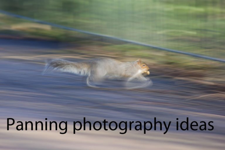 Panning Photography Ideas - Photo geeks | photography techniques
