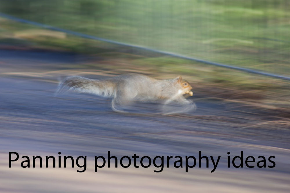 Panning Photography Ideas - PhotoGeeks