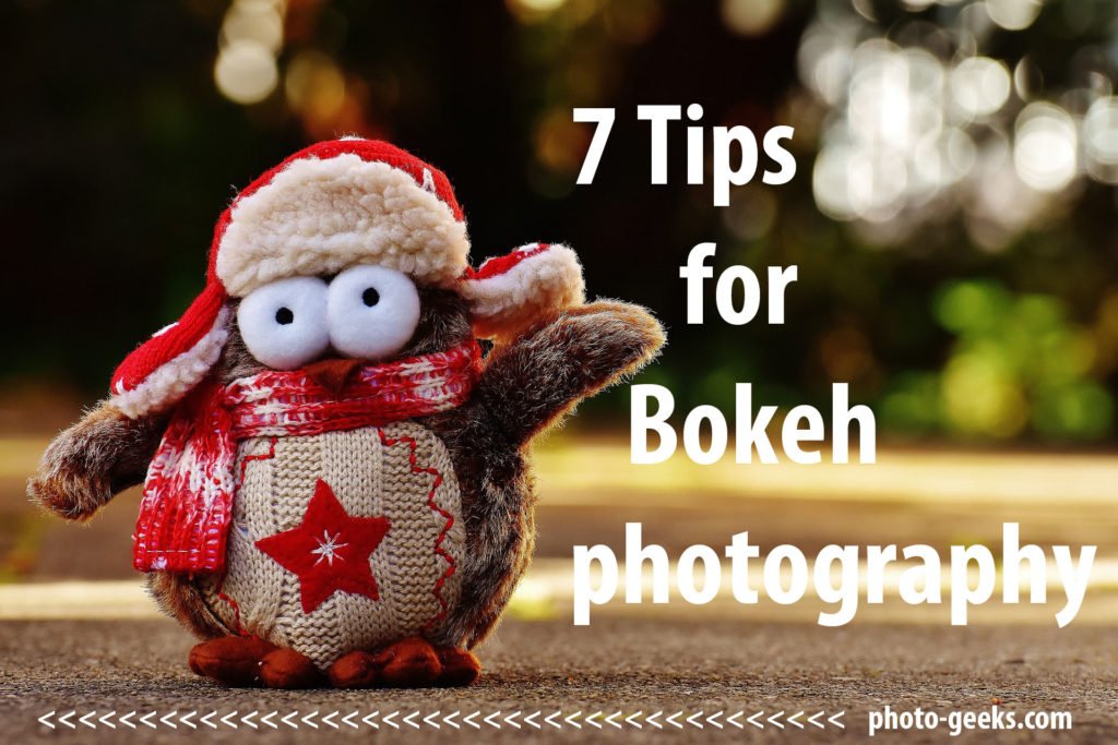7 tips for Bokeh photography