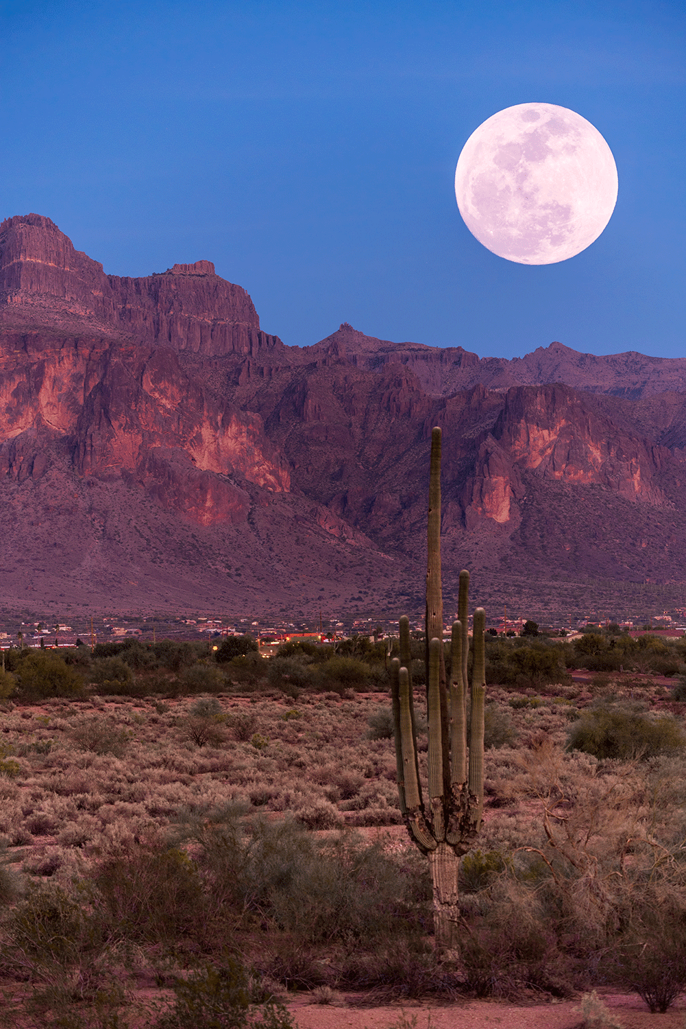 Elevate Your Skills: How To Photograph The Supermoon? - PhotoGeeks